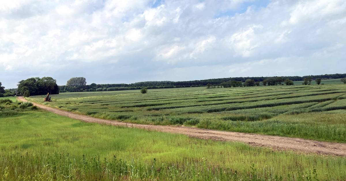 Omsætning nærmer sig en milliard: SkatePro vokser ud af rammerne - igen ...