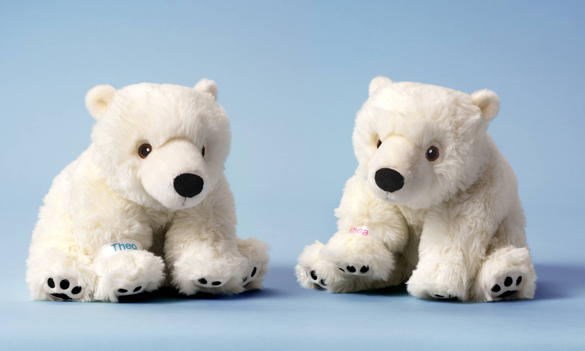 Ikoniske bamser i ny udgave: Kan du spotte forskellen?