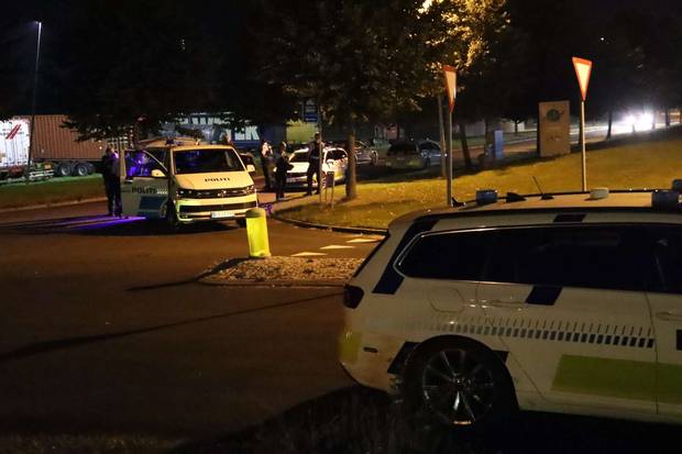 Biljagt med fire biler endte med et brag i Søften og fund af kødøkse og ...