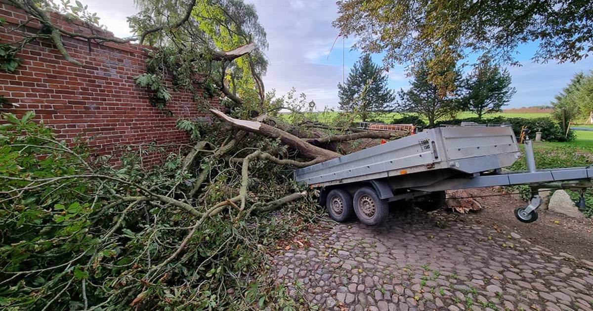 Se billederne: Kæmpe gren knækkede af træ og ødelagde mur og trailer ...
