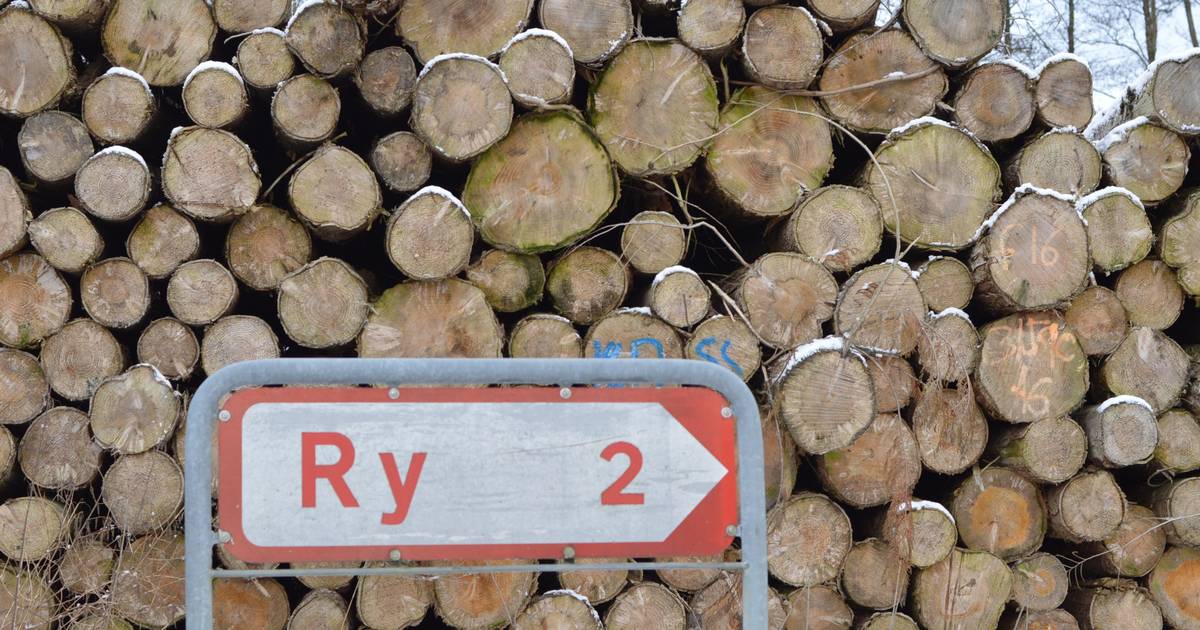 Visionsplan for Ry: »Derfor skal byen vokse« - Din Avis