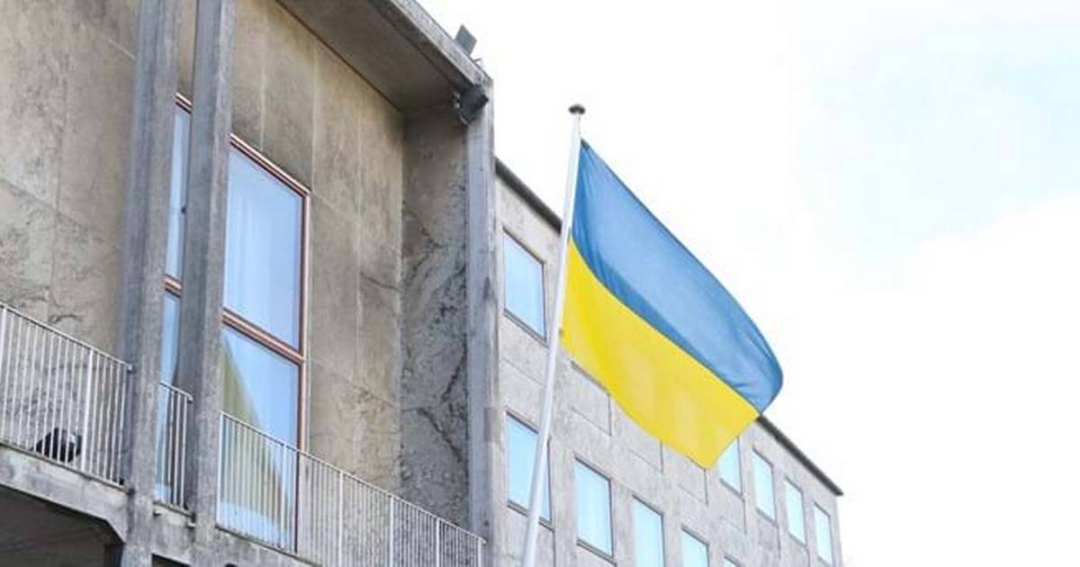 Bundsgaard: Så mange ukrainske flygtninge forventes i Aarhus - Din Avis Bundsgaard: Så mange ukrainske flygtninge forventes i Aarhus - Din Avis