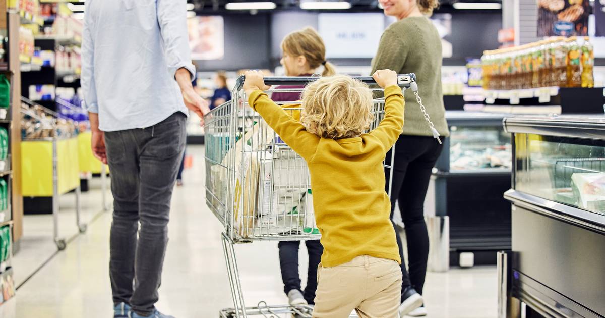 Salling Group: Nu indføres der prisloft på basisvarer i Netto, Bilka og Føtex - Din Avis