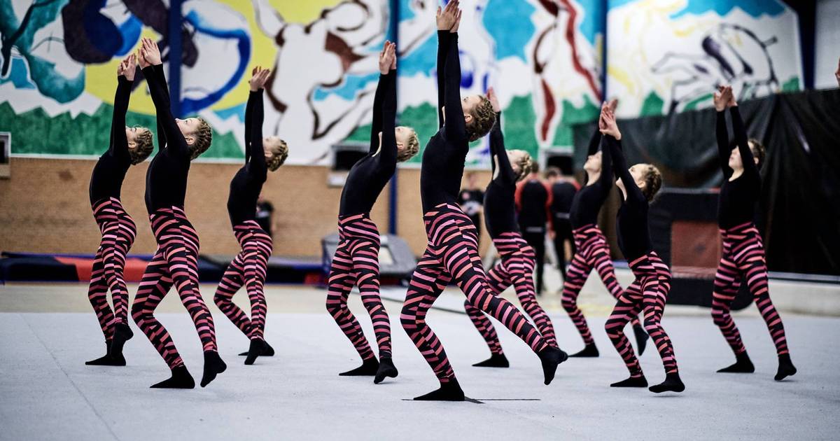 TeamGym Djurs og TRIF Gymnastik smelter sammen - Din Avis