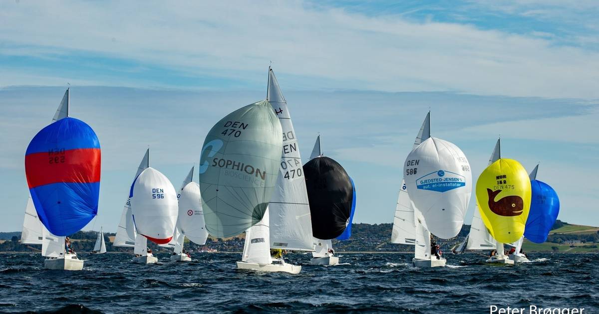 Sailing Aarhus Week – der er plads til alle på havet og på Ø - Din Avis