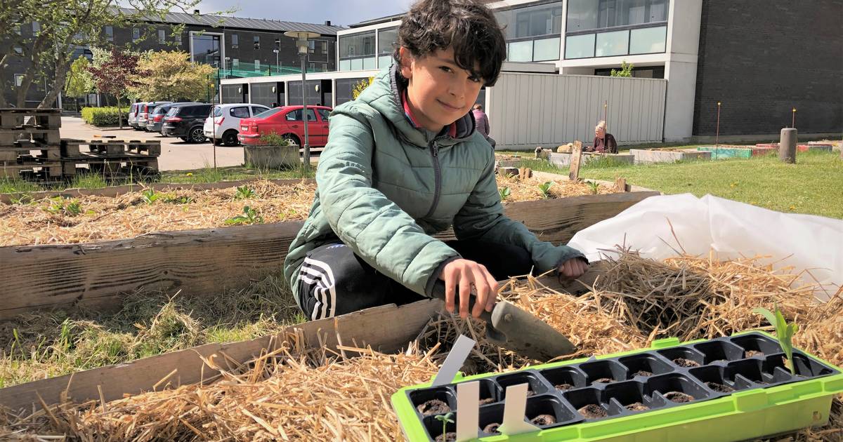 Højvangen nomineret som Nordens Bedste Boligområde - Din Avis