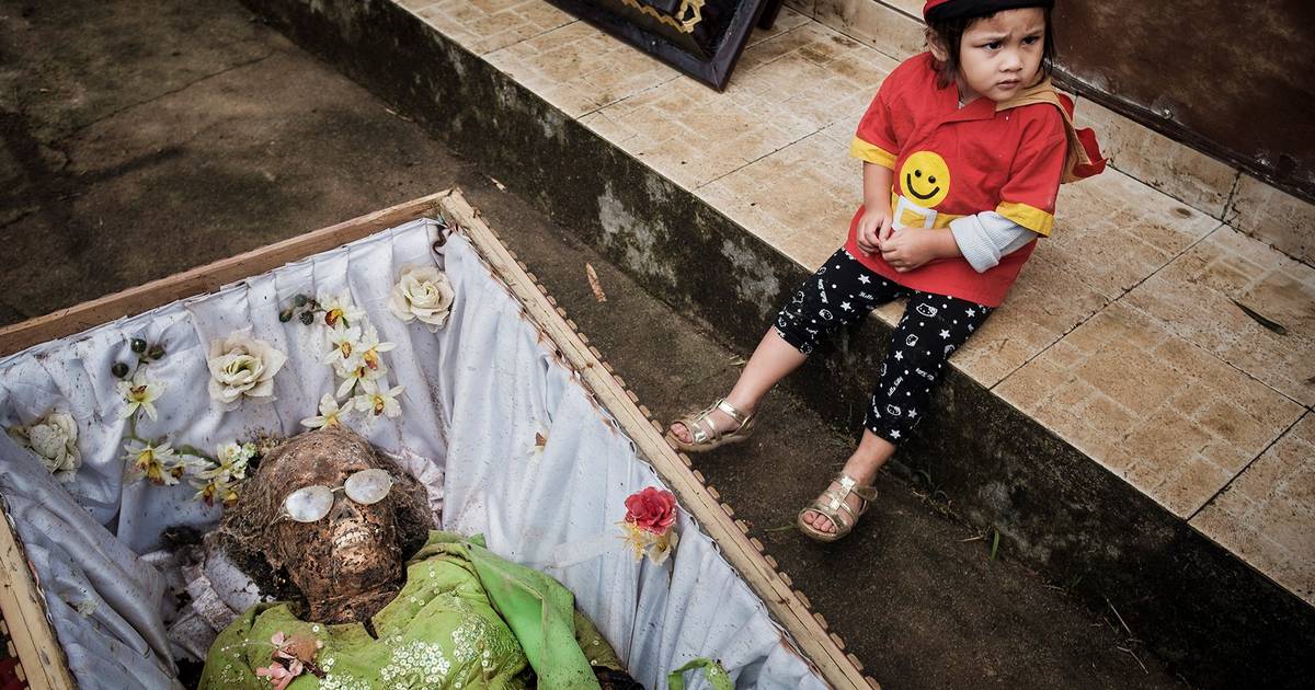 Dead and Alive: Foredrag med fotograf Klaus Bo på Moesgaard