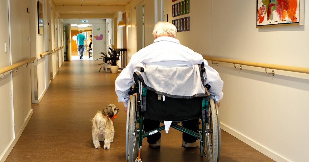 2,8 millioner til nyt projekt om sunde seniorer - Din Avis