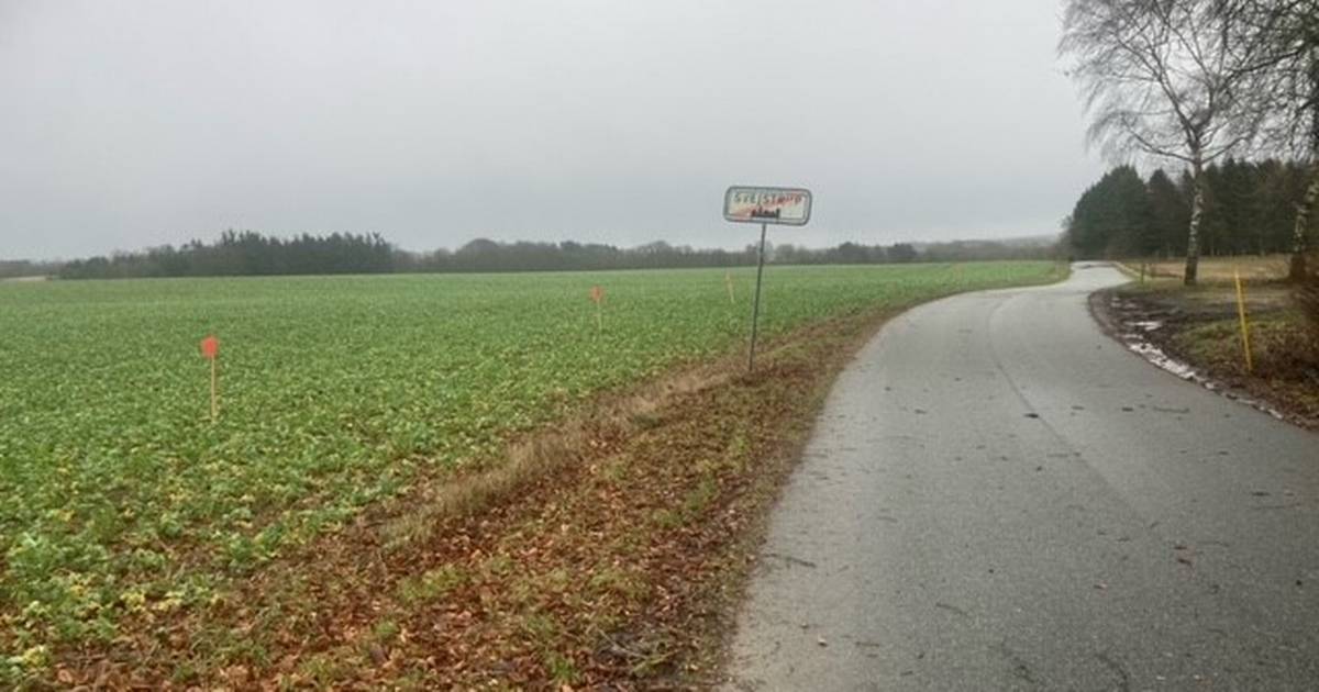 Svar til Bente Andersen: En cykelsti er mere end klima og gode vaner ...
