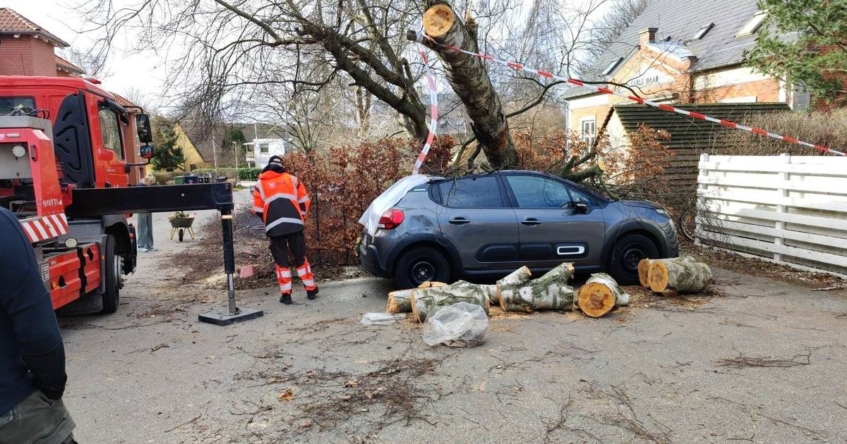 Så mange anmeldelser er kommet efter stormen Otto - Din Avis
