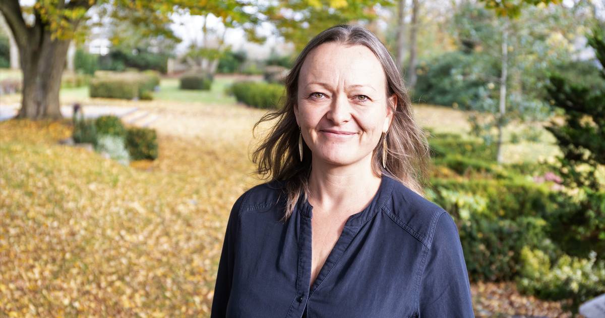 En ting ad gangen - Din Avis