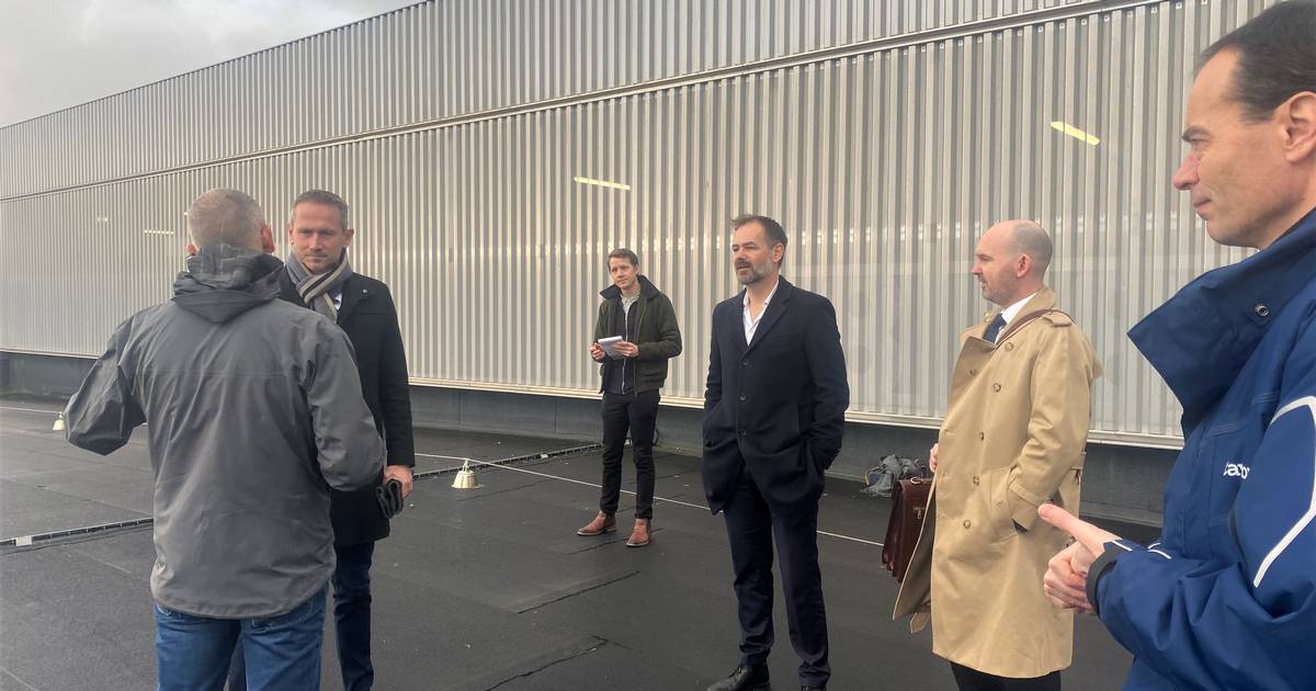 Tvinges til at starte selskaber, men må ikke tjene penge - Din Avis