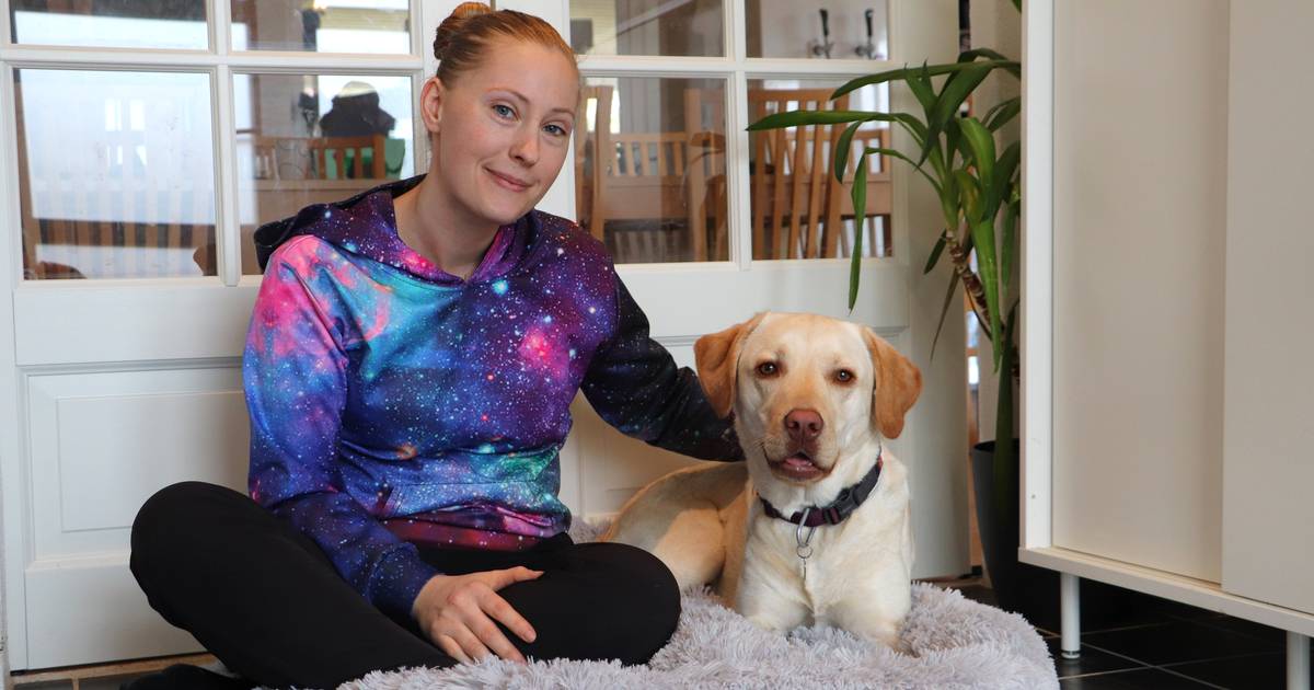 Ny webbutik med alt til Fido har base i Hadsten - Din Avis