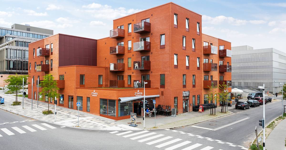 Zebra House får en ny beboer, som er kendt i området - Din Avis