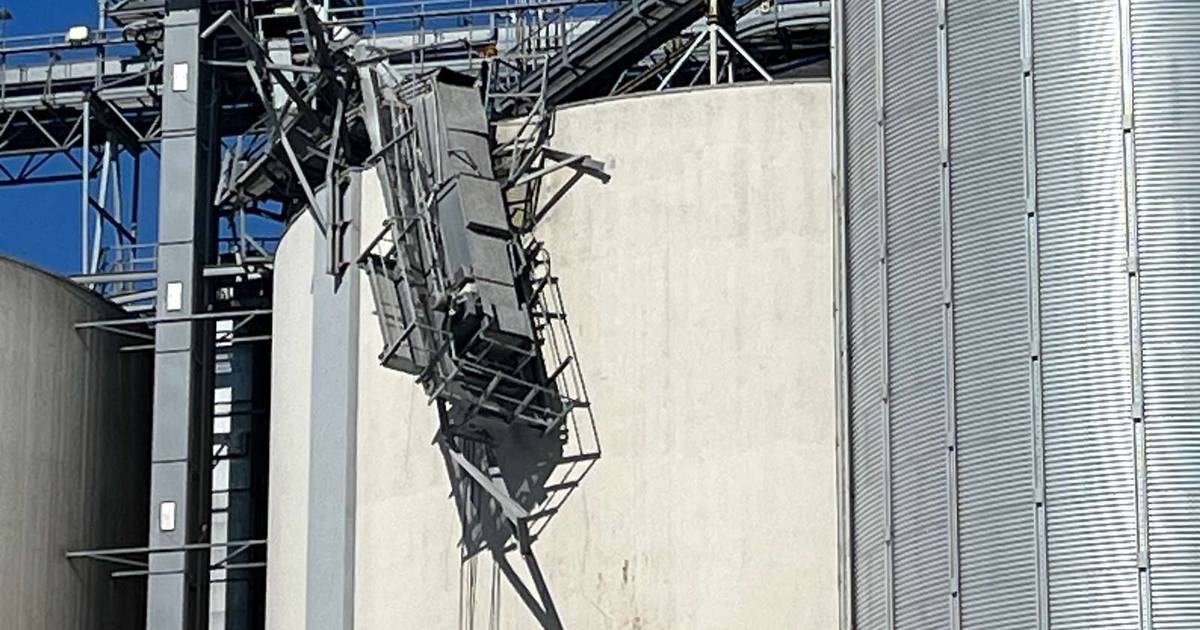 Silo-kollaps: 1500 ton hestebønner skal suges op - Din Avis