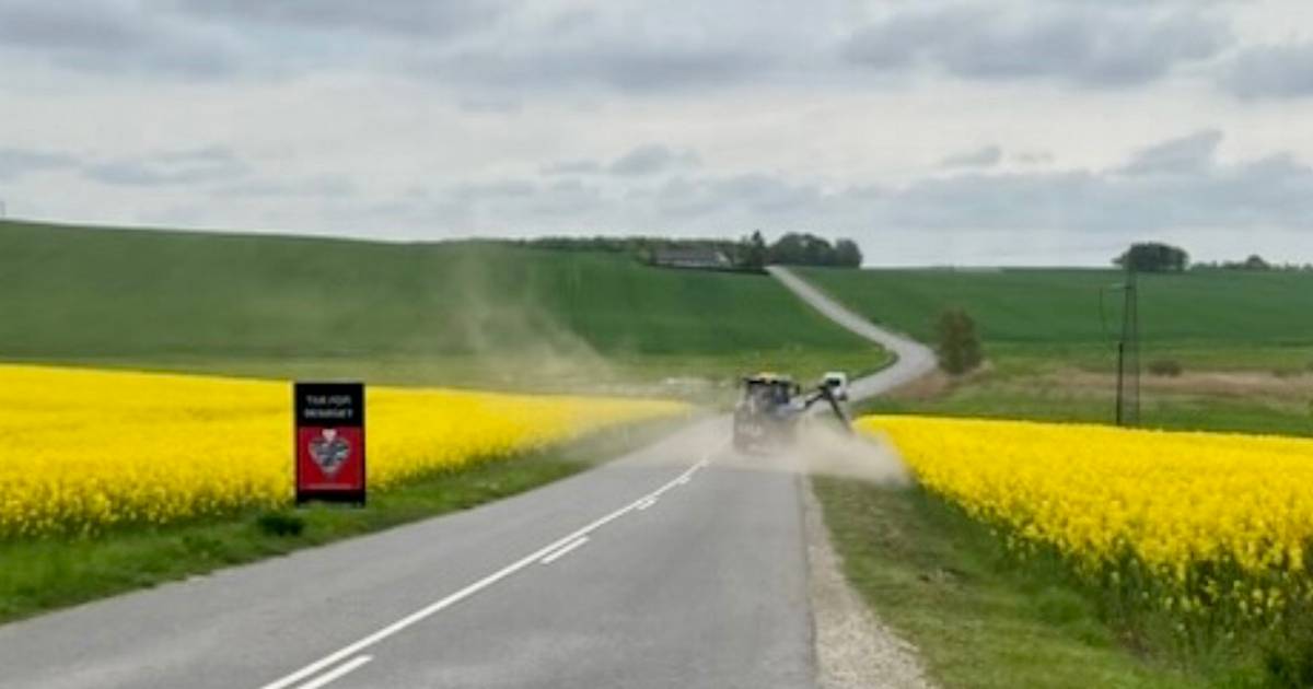 Undrer du dig også? Derfor klipper kommunen grøftekanterne - Din Avis