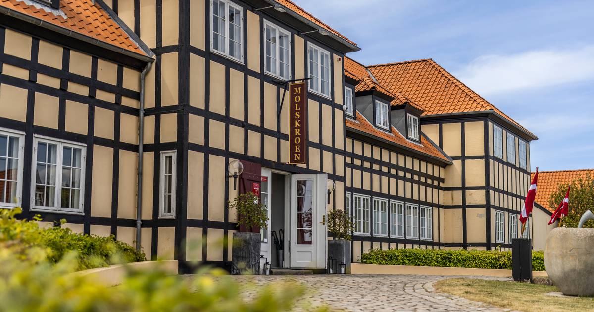 Molskroen har »ingen kommentarer« til stjernekoks pludselige exit - Din ...