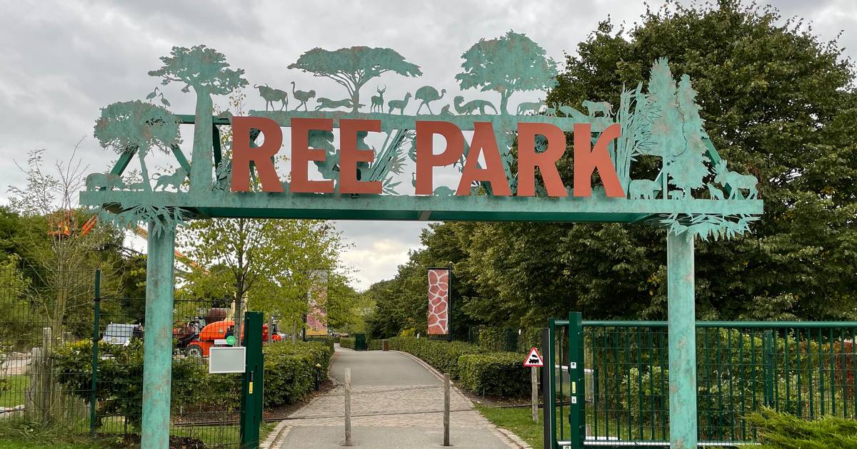 Nu kører bussen til Ree Park Safari - Din Avis