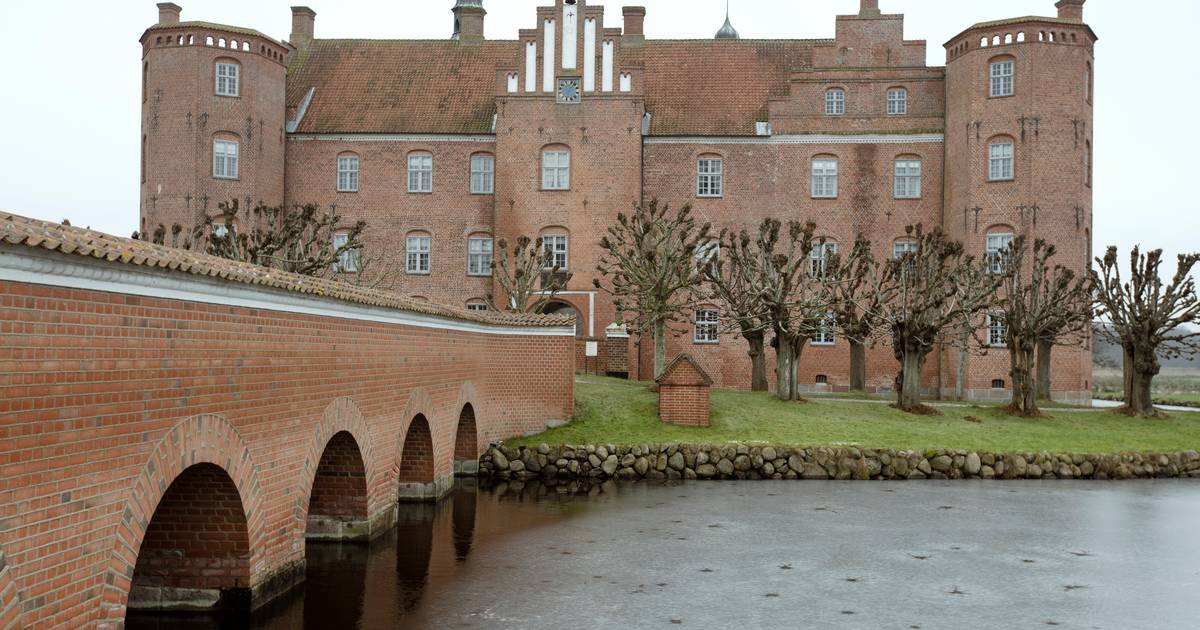 Ekstraordinær hjælpende hånd til Gammel Estrup - Din Avis