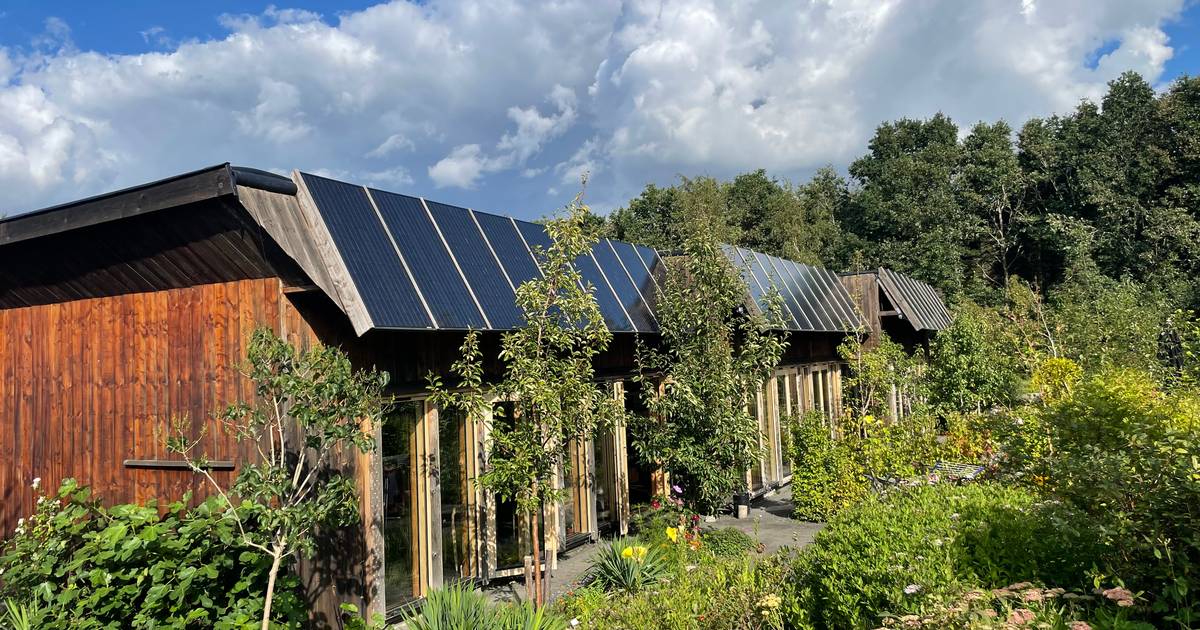 Michelin-anerkendt restaurant får fornem placering: »Det er et vildt ...