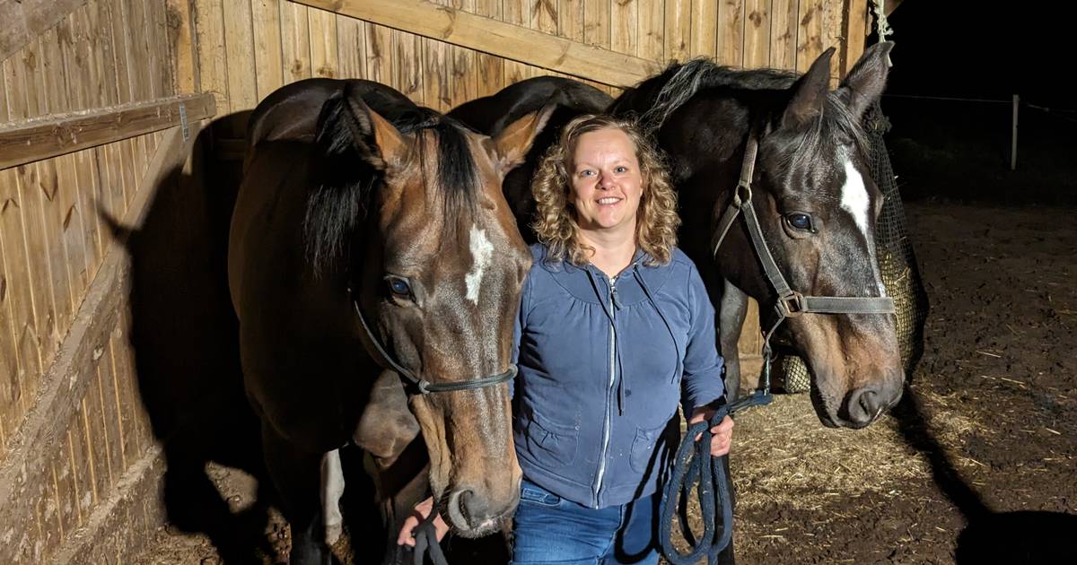 Hjælpsomhed og fællesskab er drivkraften hos frivillige - Din Avis