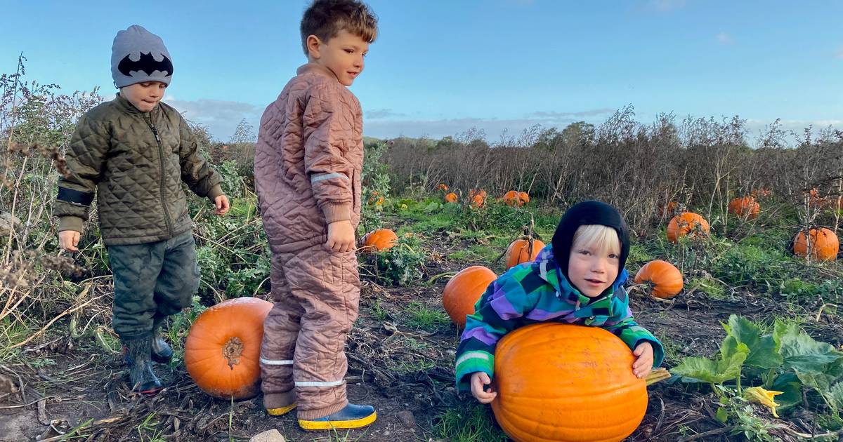 På en mark uden for Auning er en lille perle for børnefamilier ved at ...