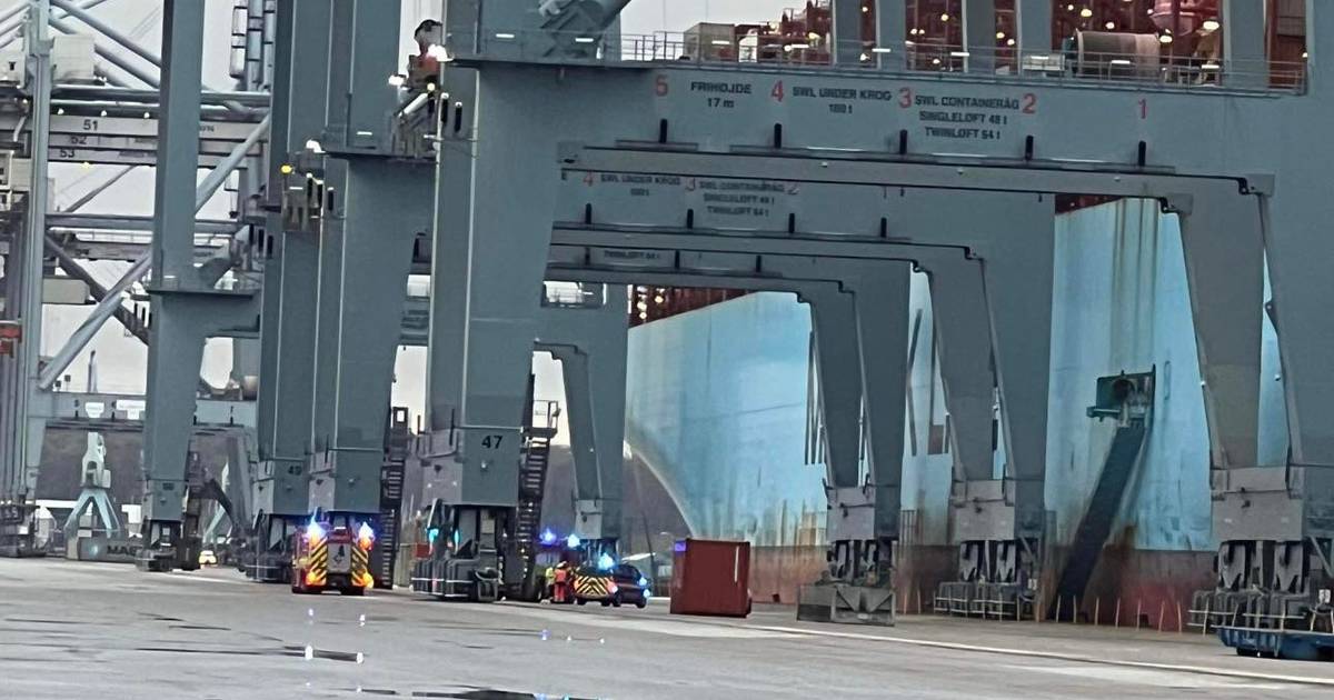 Stor udrykning til Aarhus Havn: Udslip fra container - Din Avis