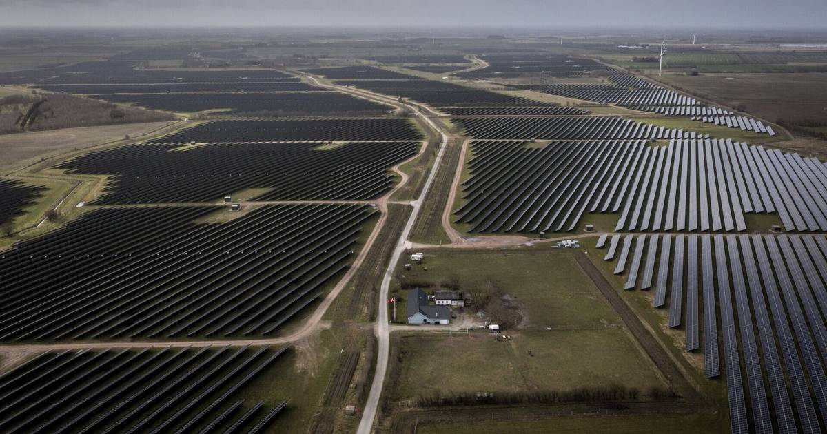 Farvel til gyldne kornmarker. Goddag til marker med sorte solceller
