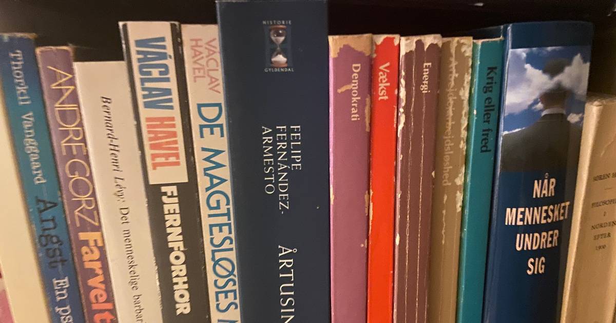 Politikerne kan slet ikke opfylde borgernes mange ønsker - hvad gør vi ...