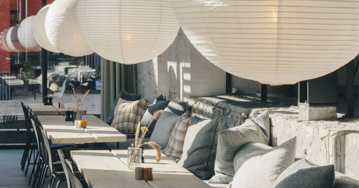 Rabat med Ældre Sagen - Din Avis