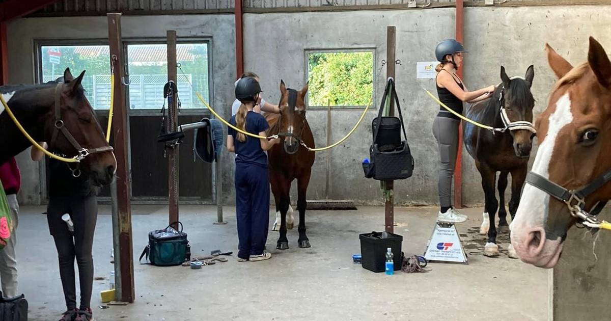 Julestævne i rideklubben - Din Avis