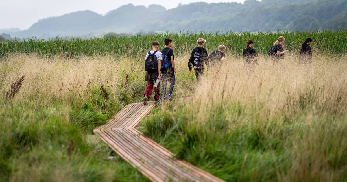 Banebrydende klimaprojekt på vej i Illerup Ådal - Din Avis