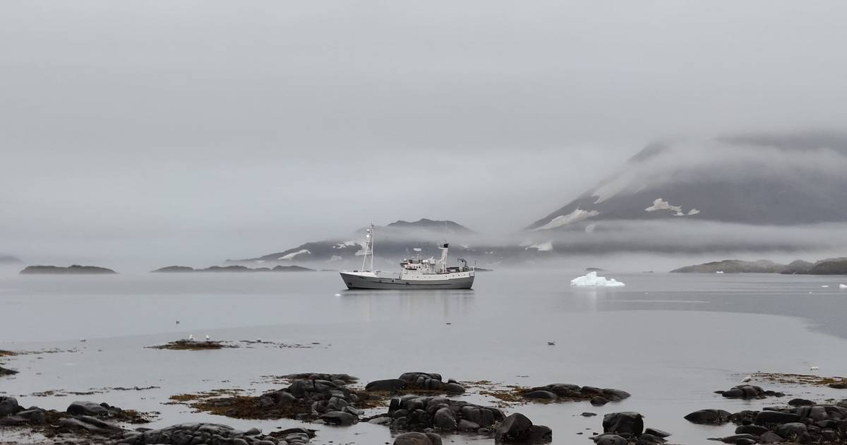 Aktivitetskalender - Din Avis