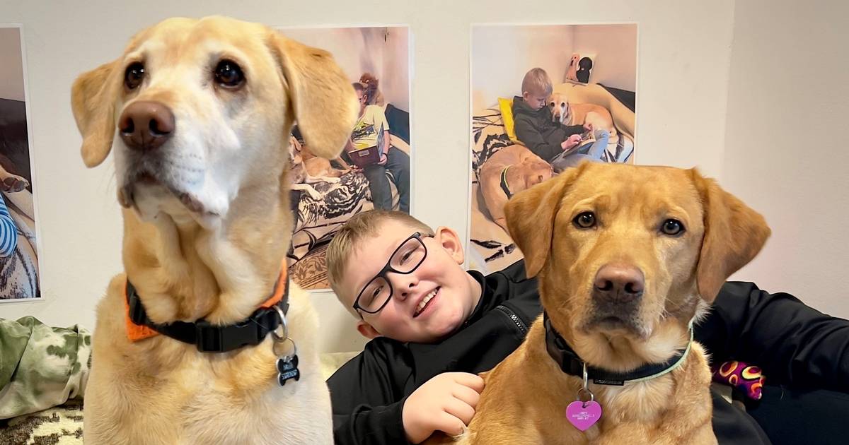 Skolehunde giver bedre trivsel: »Det ville slet ikke være det samme ...