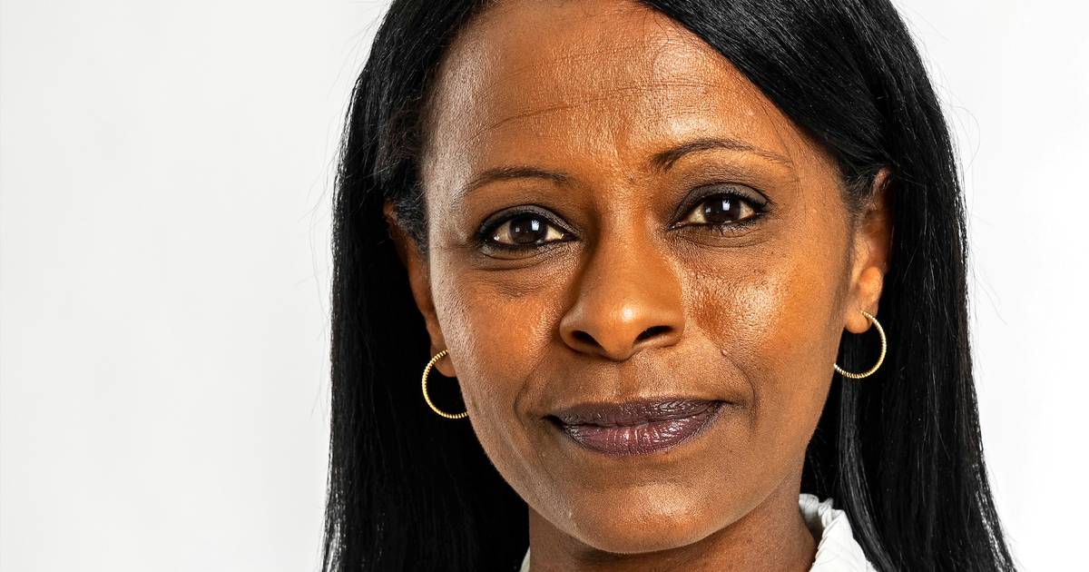 Udlændinge kan lære dansk online - Din Avis