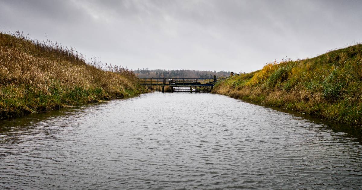 Red Kolindsund – lokal kamp for Jyllands største sø starter nu - Din Avis