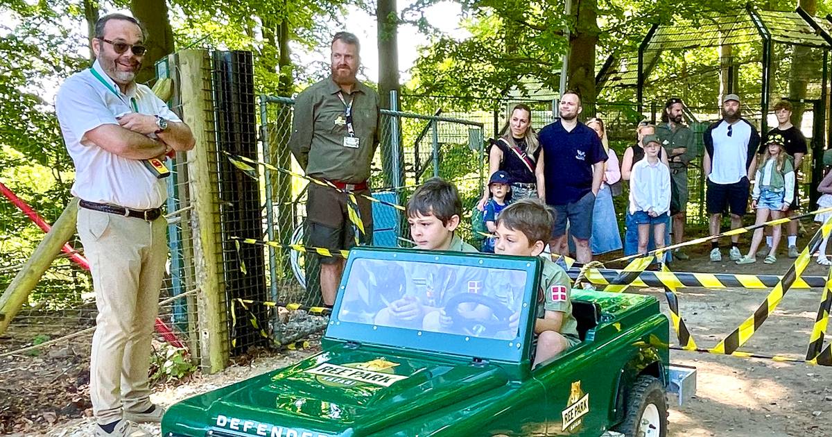 Kendisser og kendis-børn indtog Ree Park: Nu er de ’superhelte’ - Din Avis