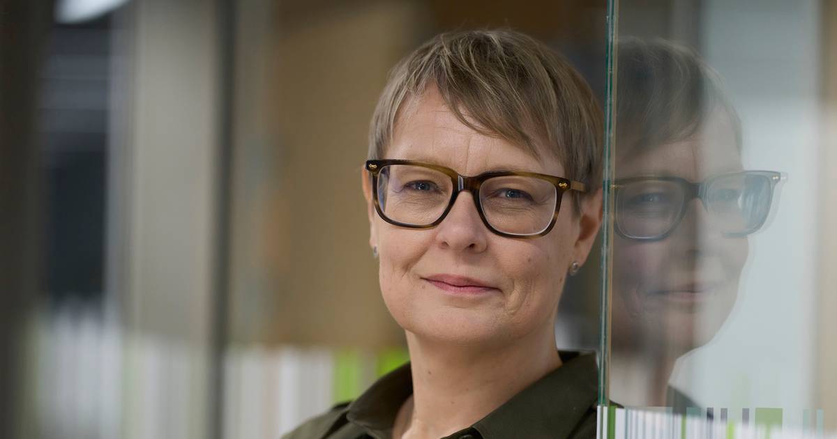 VIA University College får ny rektor - Din Avis