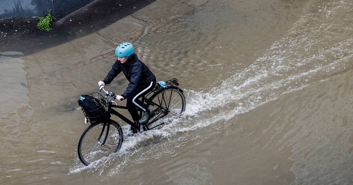DMI advarer: Så meget regn kommer der - Din Avis