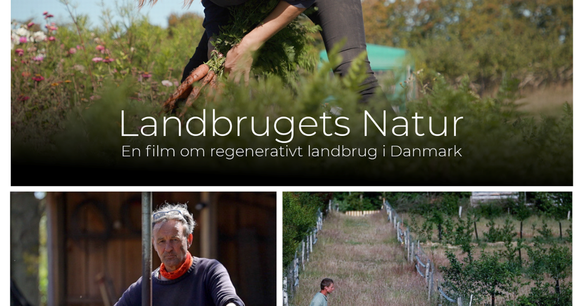 Earthwise viser film optaget på Mols - Din Avis