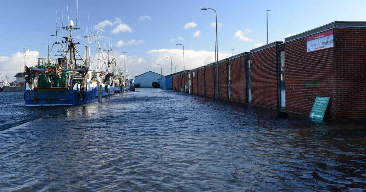 Grenaa skal sikres mod stormflod - Din Avis