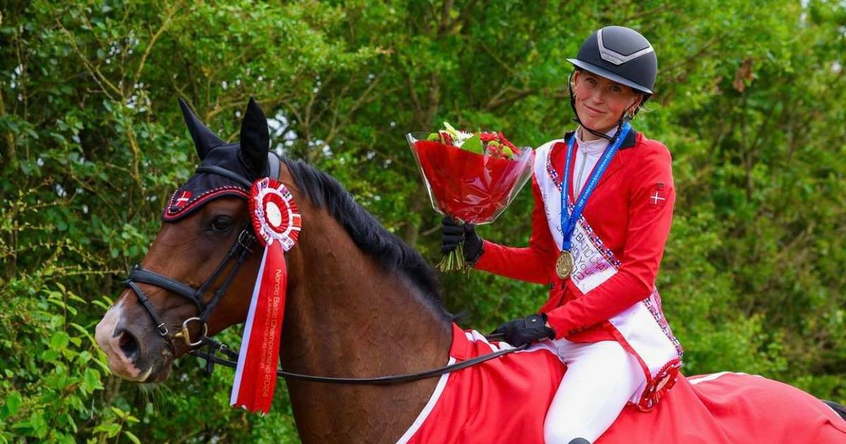 To guldmedaljer til lokal ekvipage ved de nordiske mesterskaber - Din Avis