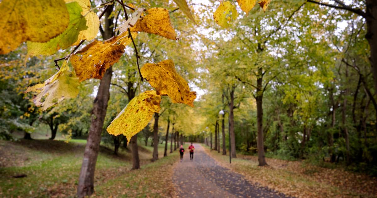 Klar til efterår? Sådan bliver weekend-vejret - Din Avis
