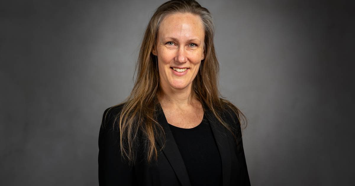 Planchef om solcelleanlæg og kæmpevindmøller: Naboer må vente et par år ...