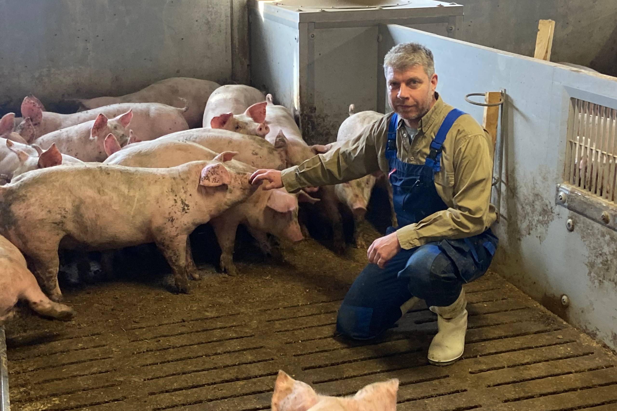 Grisekongen udfordrer Hans Majestæt: Kontrasternes møde på ...