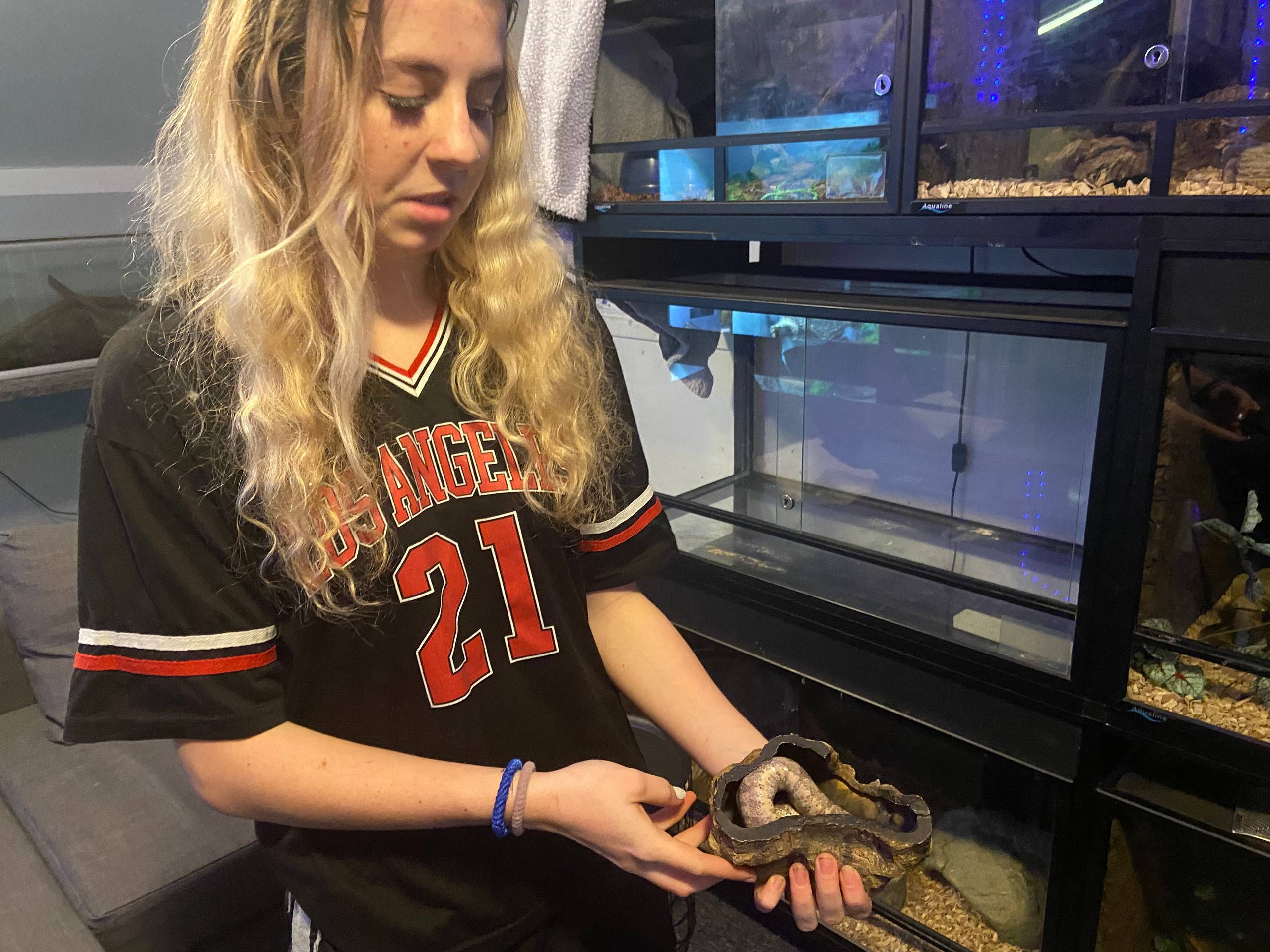 Aarhus-familie flyttede på landet og skabte et fristed for kanariefugle ...