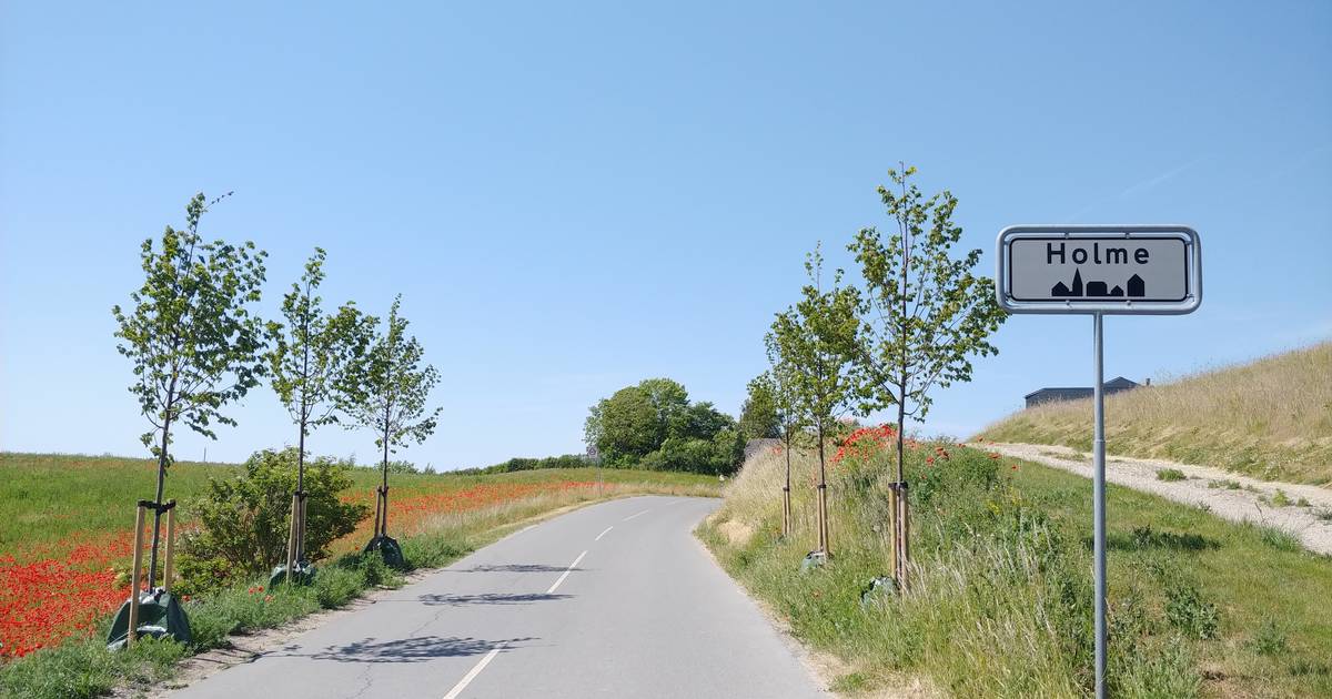 Levende byport med naturlig hastighedsdæmpning - Din Avis