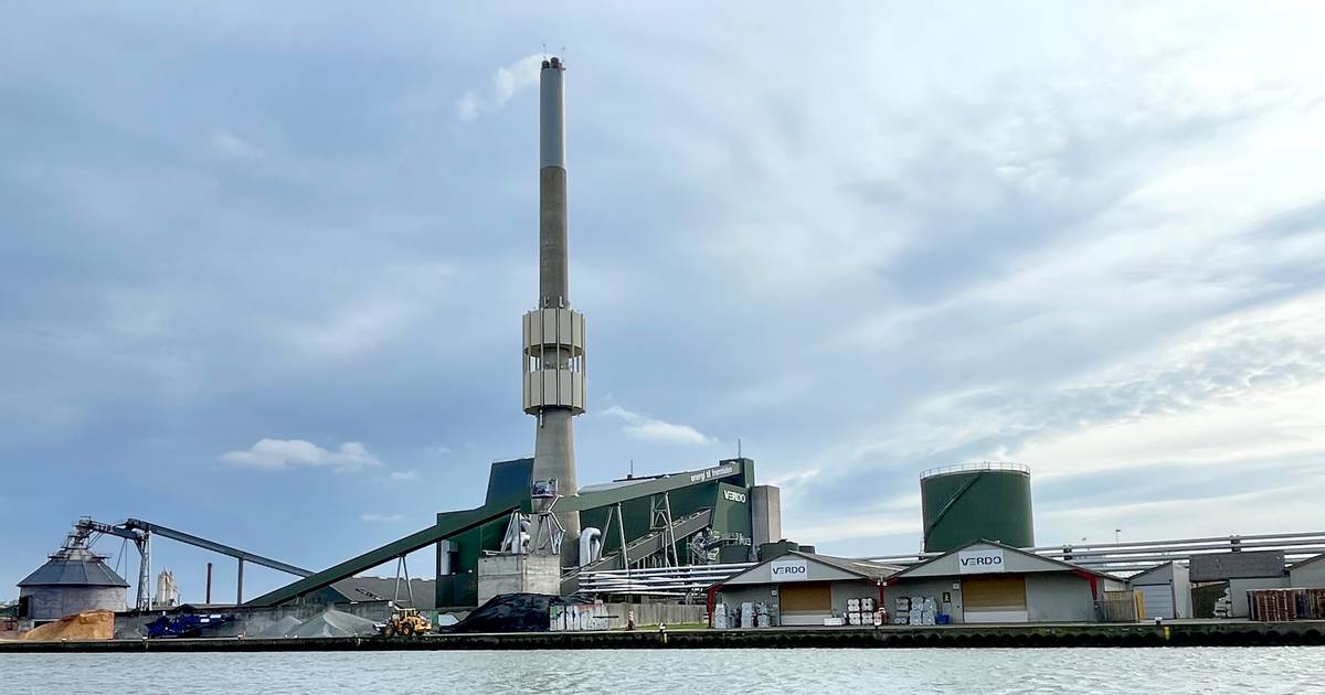 Lækket regnskab: Energikoncernen Verdo har et underskud på 163 ...