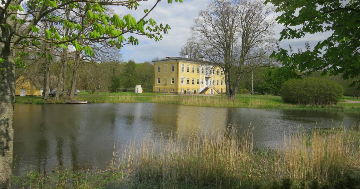 Gulkalket historisk gods ved Randers Fjord sat til salg - Din Avis