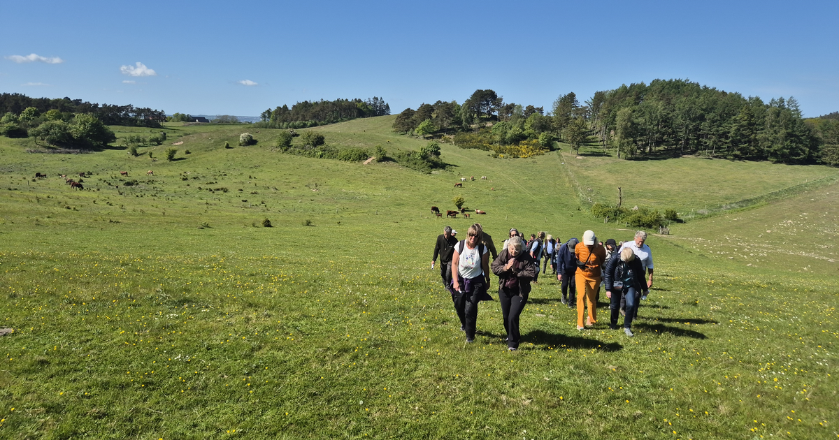 »Svinende« turister kan gavne Nationalparken - Din Avis